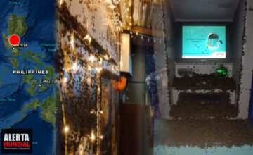 Invasión de insectos causa pánico como 'plaga bíblica' en Filipinas ...